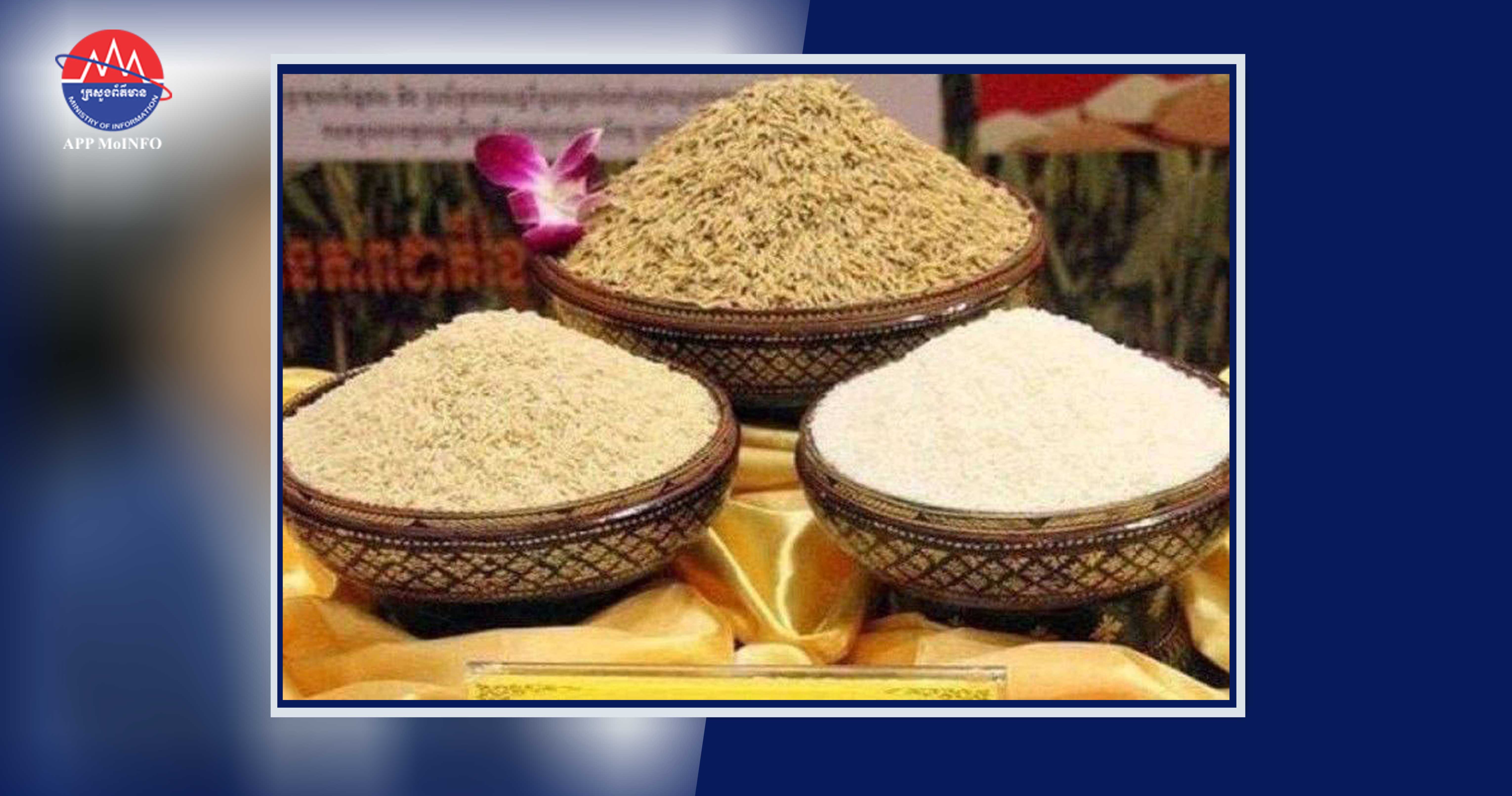 Cambodia Bags US$32 Million from Rice Exports in January - ក្រសួងព័ត៌មាន