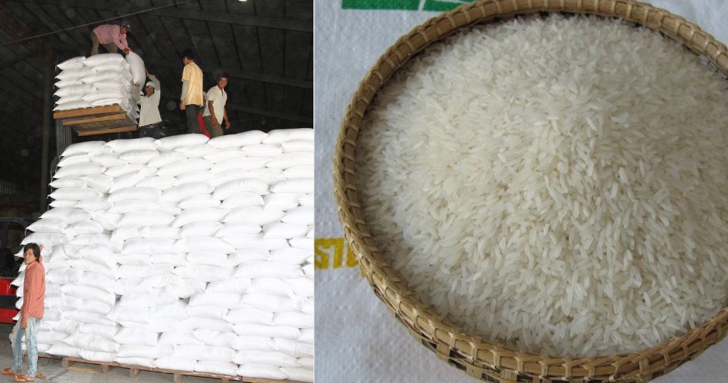 Cambodia Earns Over US$170 Million from Milled Rice Export in First ...