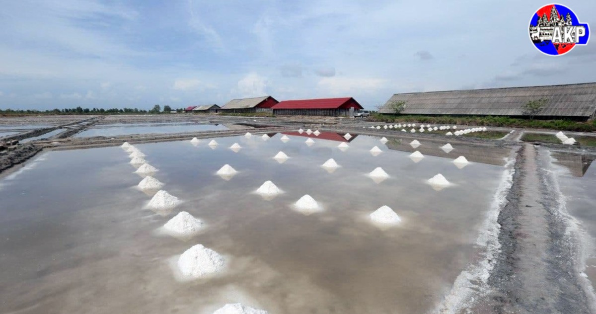 Le rendement en sel atteint 70.000 tonnes cette année - ក្រសួងព័ត៌មាន