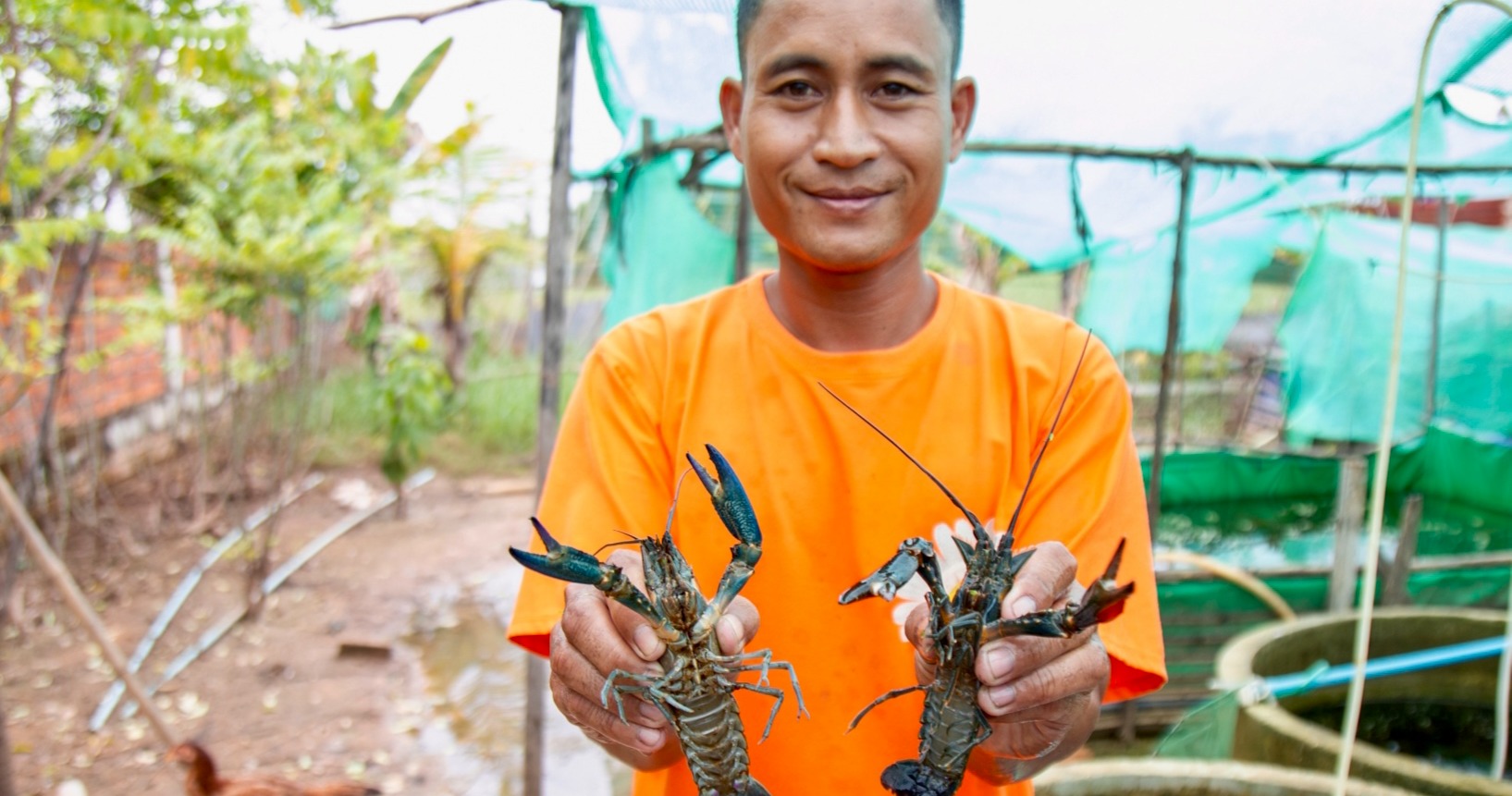 Photos of the Week: Crayfish Farming Booming in Cambodia - ក្រសួងព័ត៌មាន